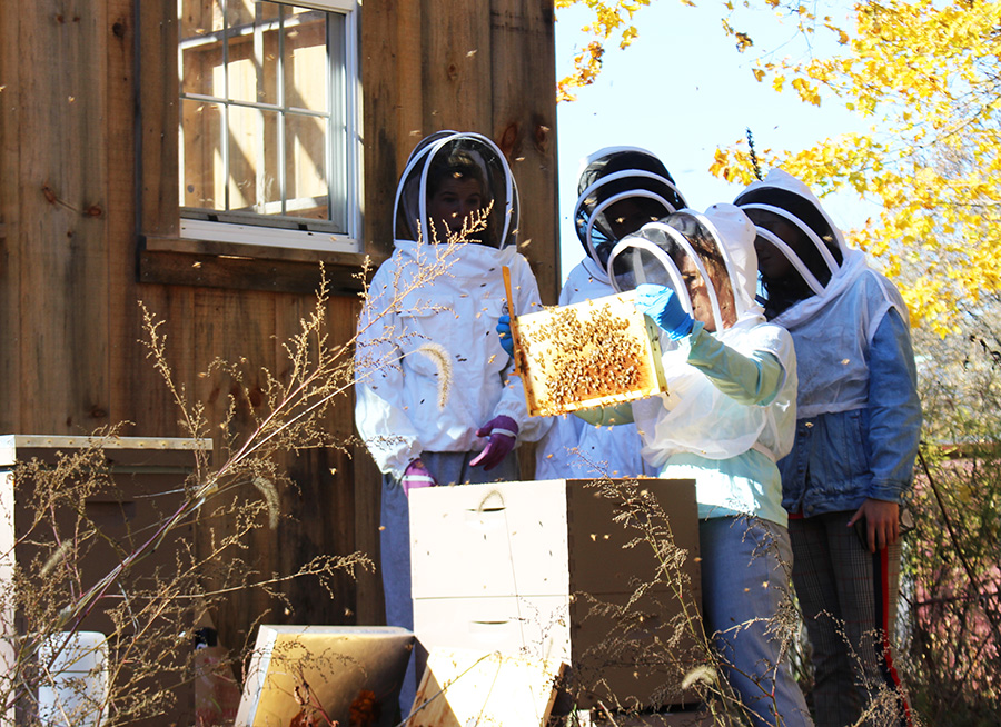 Bert’s Bee Project: From Byfield to the USDA | News Detail Page