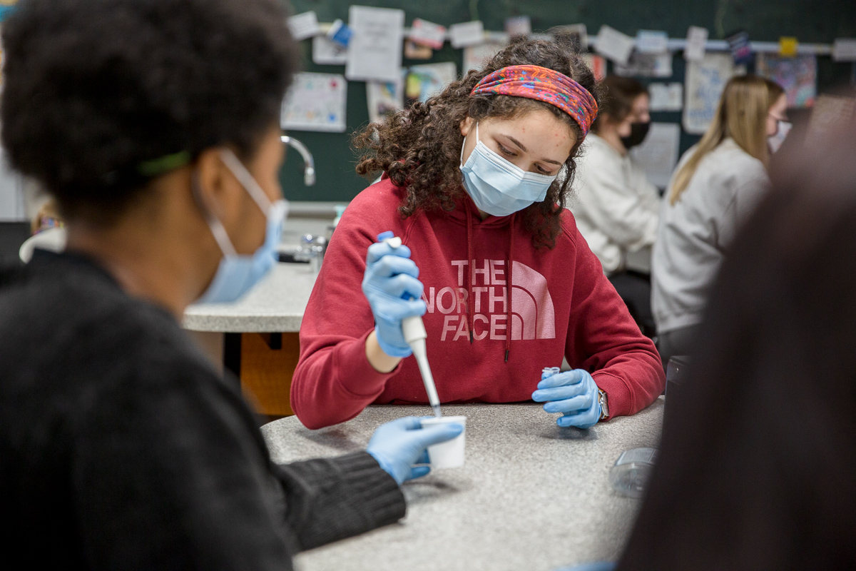 AP Biology Lab: Gel Electrophoresis | News Post General - Mount Carmel ...