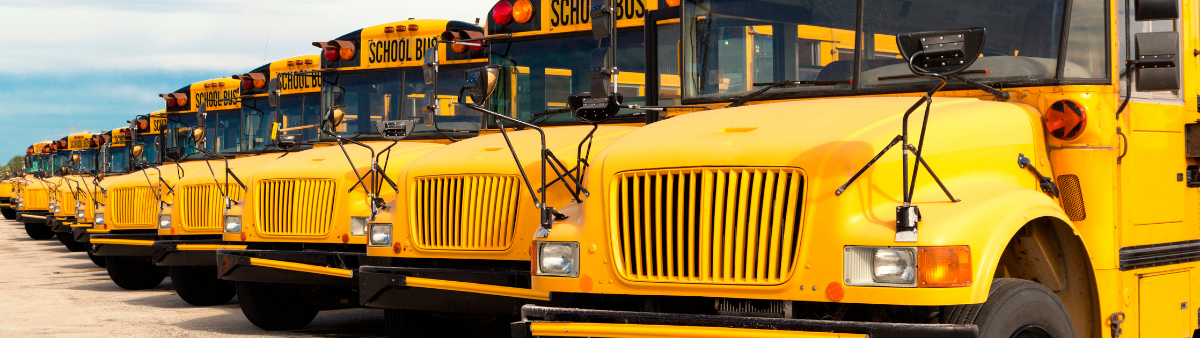 Bus Safety Tip - NYS Bus Safety Drill Guide | News Story