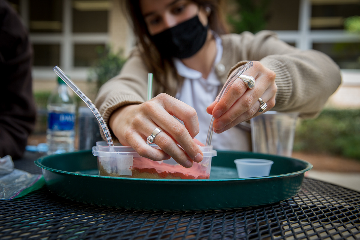 Environmental Science: Water Pollution | News Post General - Mount ...