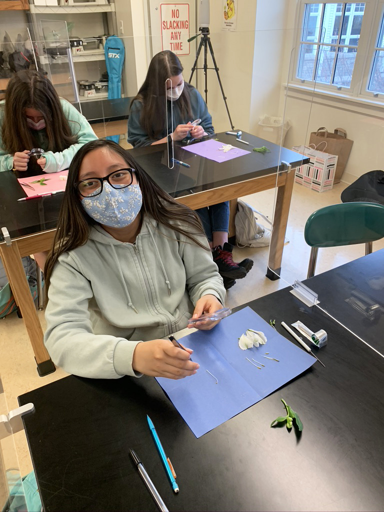 8th Graders Dissect Flowers as Part of Botany Unit | Morristown Beard ...
