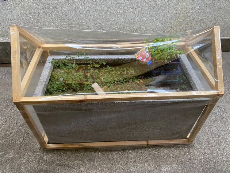 A Sustainable Greenhouse - Jiwon + Kohko + Vivi | Projects