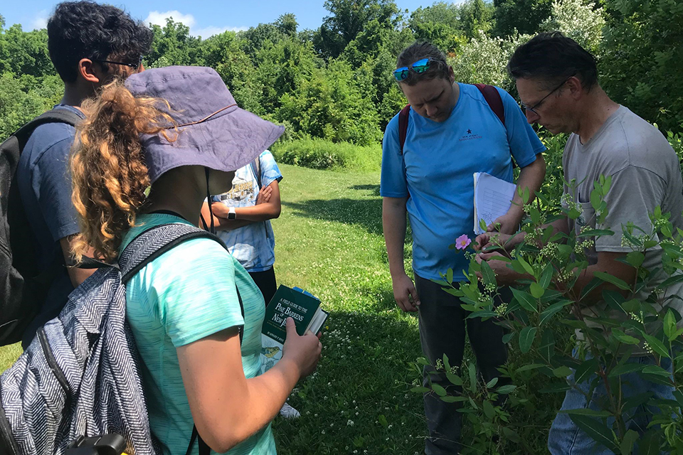 Field Ecology Interns Explore Campus & Plan Sustainability Efforts ...