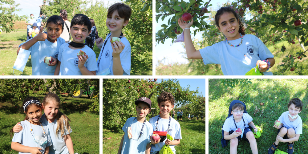 Grade 3 Goes Apple Picking | Details