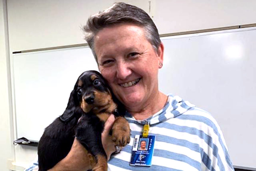 Puppies Provide Teachers with Special Break During Professional ...