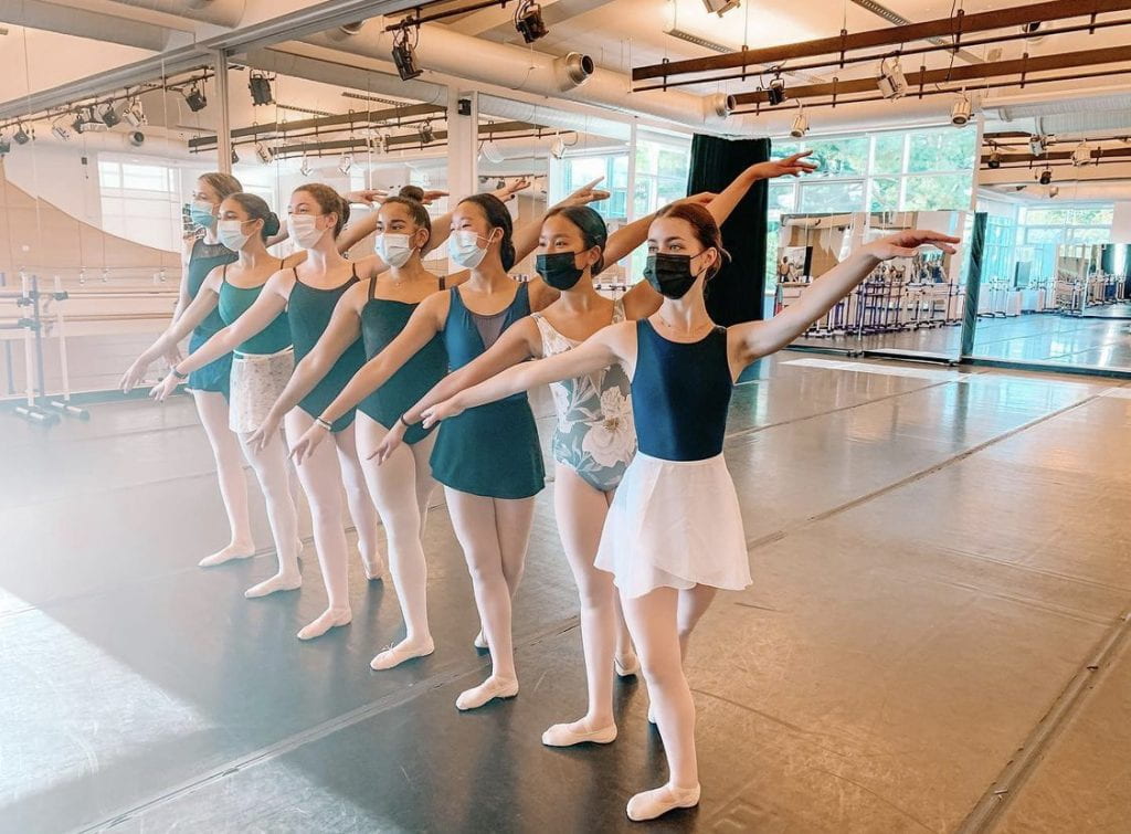 Renewal | Roar Article