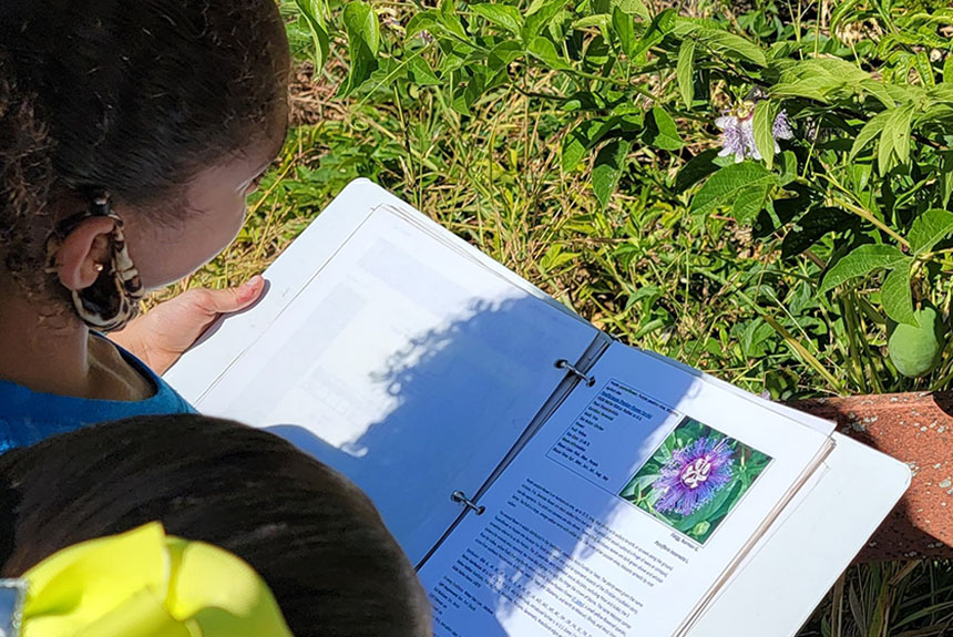 CFBISD Outdoor Learning Center Provides Authentic, Hands-On Science ...