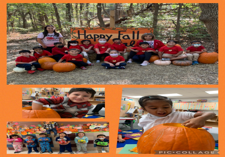 Pre-K Farm Field Trip | Post Details Page - Central Elementary