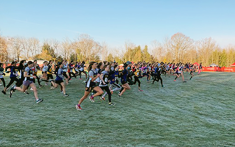 Congratulations to all OFSAA Cross Country 2021 Athletes | CISAA News ...