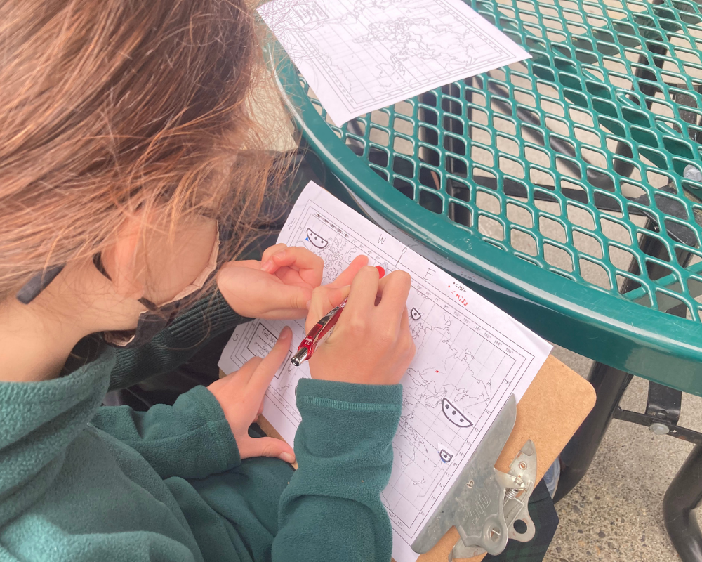 Should students show their work in math? | Forest Ridge Blog | Bellevue ...