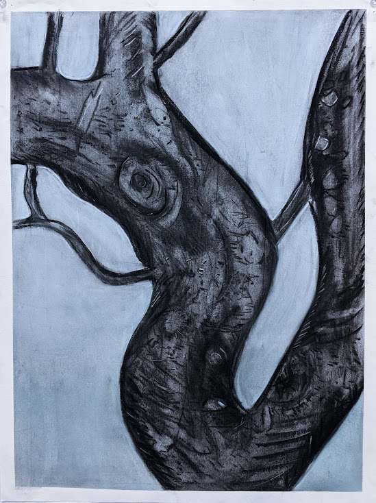 Westridge 7th Graders Present "The Tangled Tree" | News Post