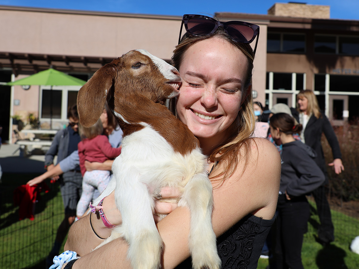 Grauer Annual Tradition - Petting Zoo For Finals Week | Post Details ...