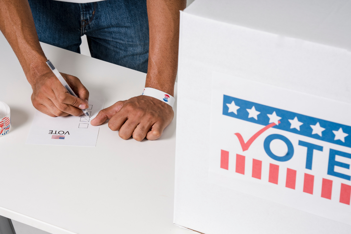 Why the 2022 primary elections matter | feature