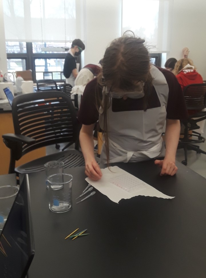 High School Students Test Equilibrium Shifts in the Lab | news details