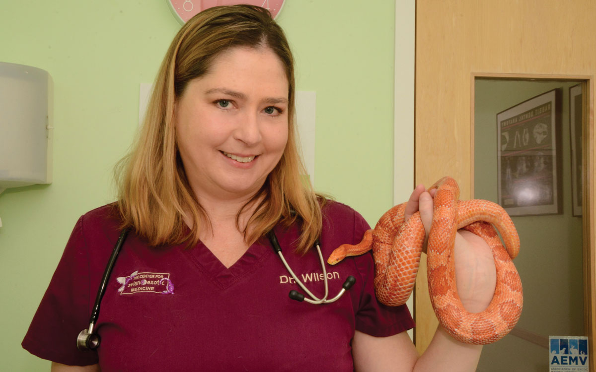 Distinguished Alumni Award: Alexandra Wilson '90 | Details - Old Trail ...