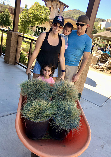 Dr. Grauer's Column - If You Were A Trustee Of The Grauer School | Post ...