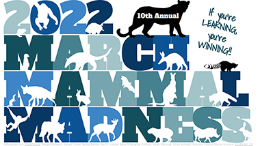 March Mammal Madness – great combo of science and sports | News Details