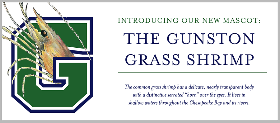 New Mascot Announced | News Details - The Gunston School