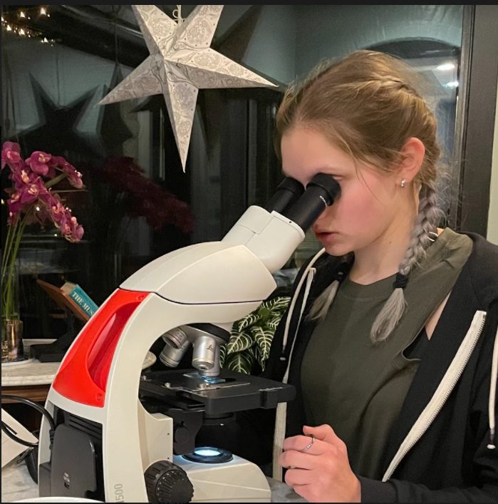 Awards continue for SPA student-scientists at Junior Science and ...