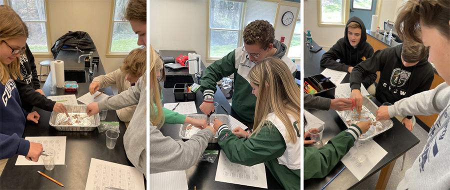 Spotlight: Foraging Lab in Biology | Athletics News Details - The ...