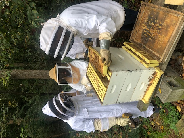 Beekeeping Club Creates a Buzz on Campus | News and Events | Gilman School