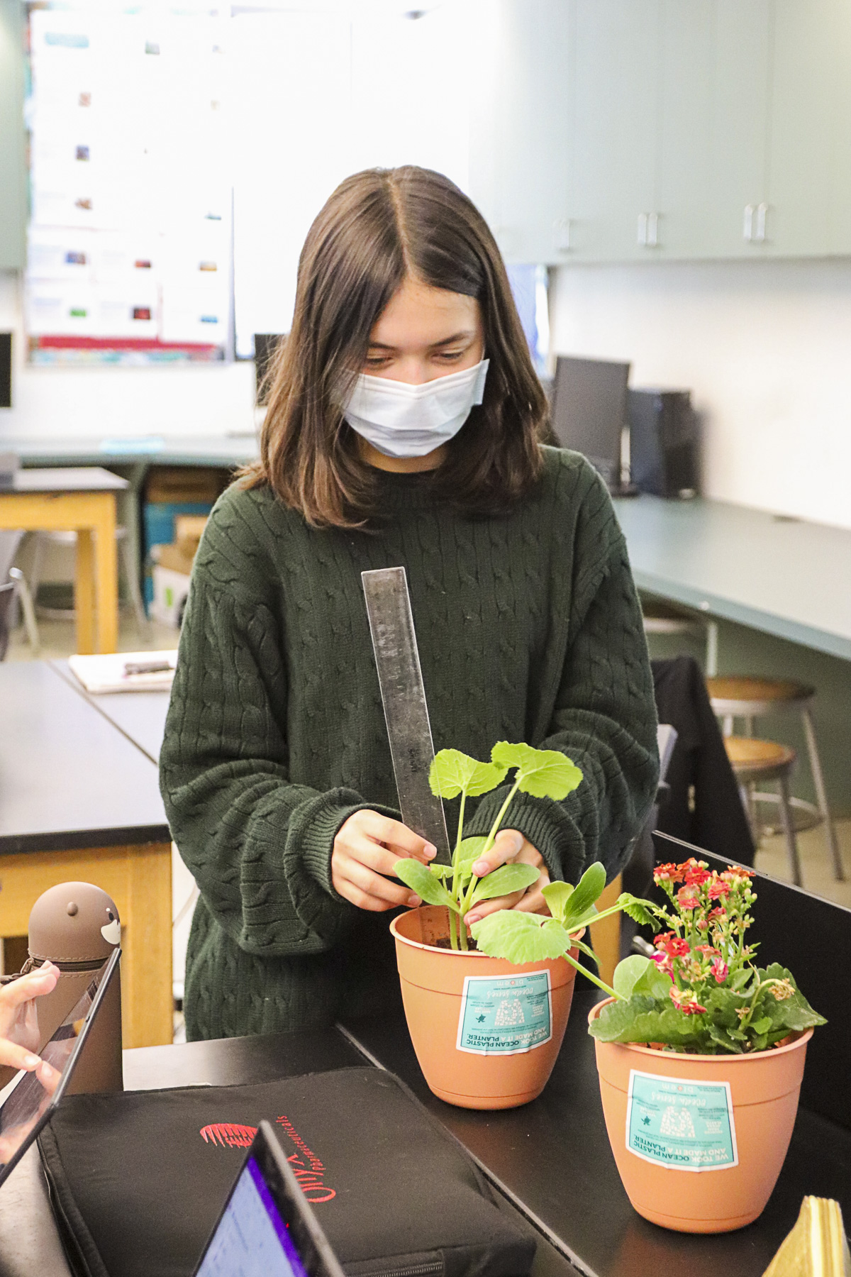 7th Graders Experiment With How Environmental Factors Impact Plant ...