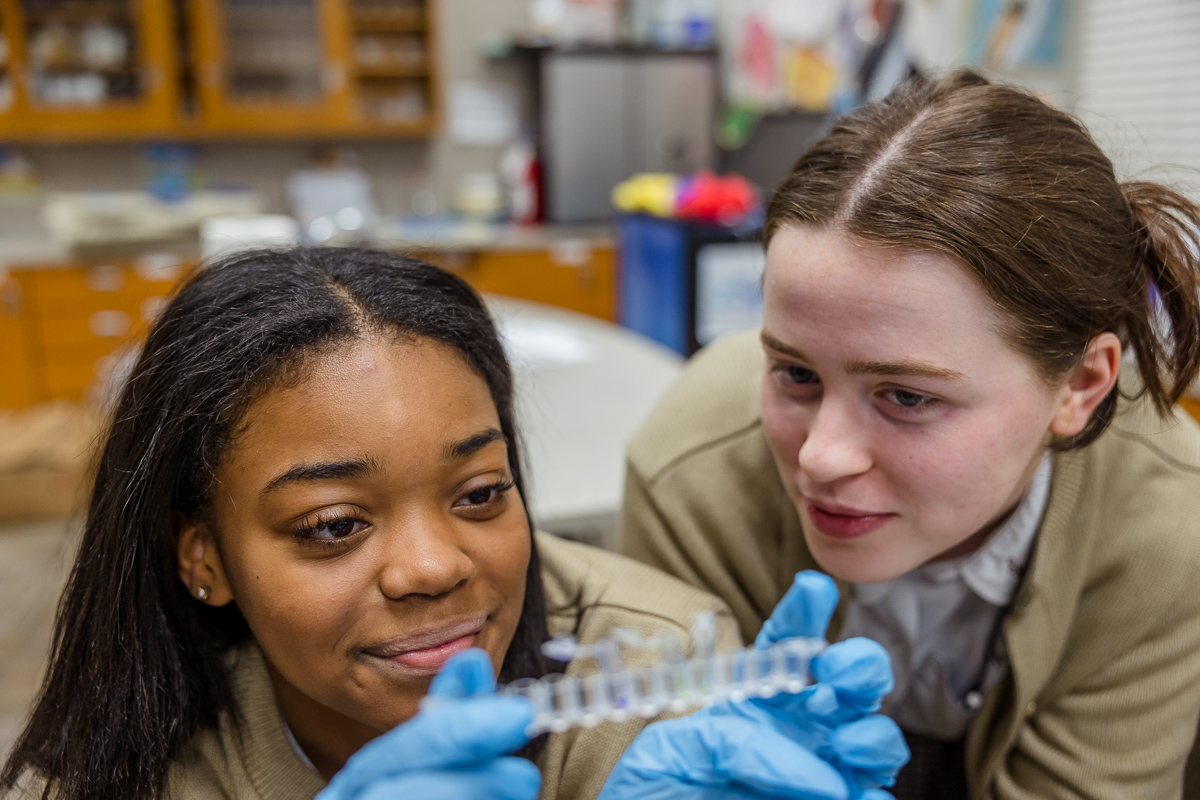 Animal Science Lab: GMOs | News Post General - Mount Carmel Academy