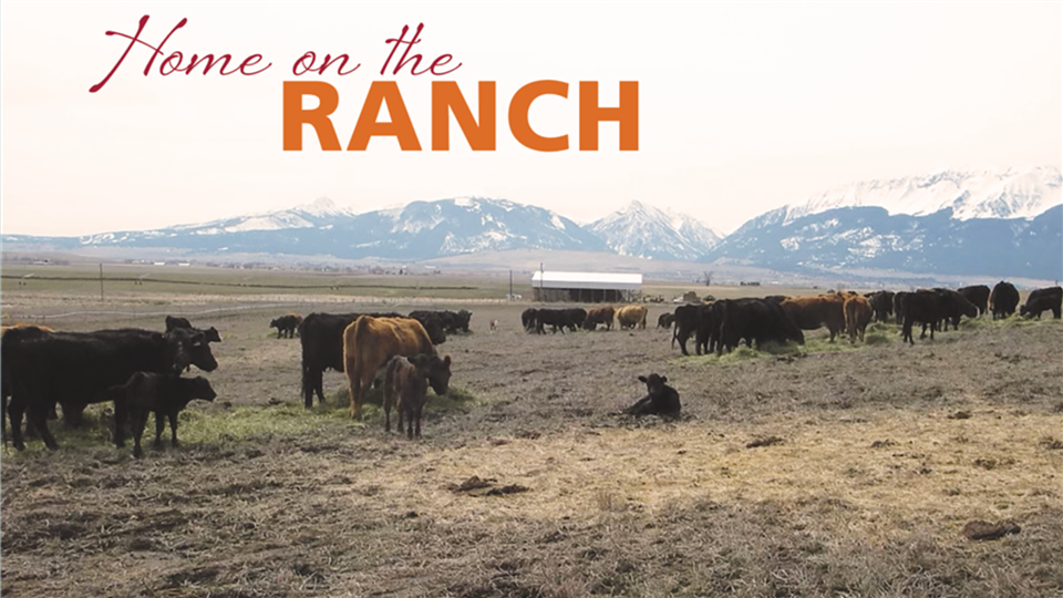 Home on the Ranch | Details