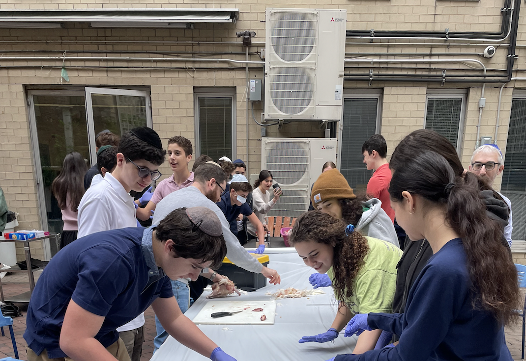 Studying Kashrut and Biology | Ramaz News - The Ramaz School