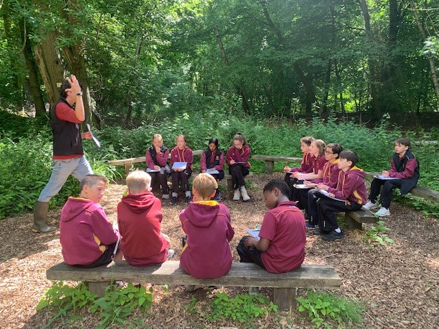 Year 7 Geographers Visit Epping Forest | Posts Page