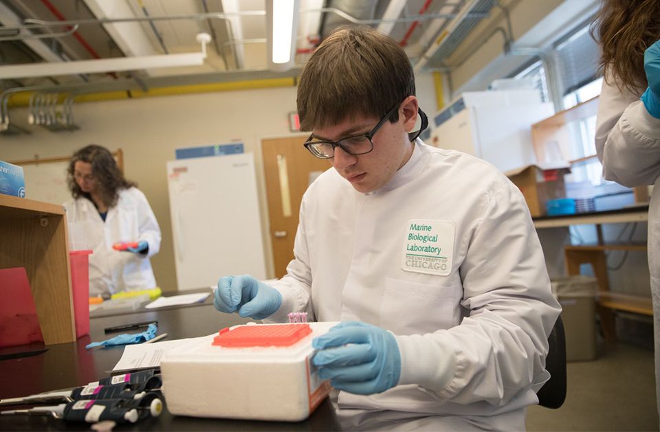 A Week at the Marine Biological Laboratory | News Detail