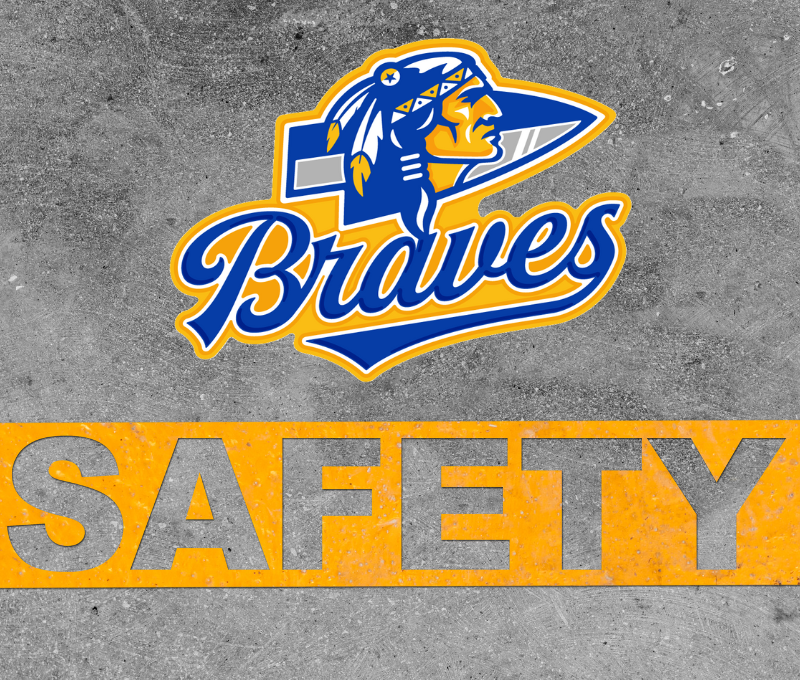 Safety and Security in Brave Nation | Post Details