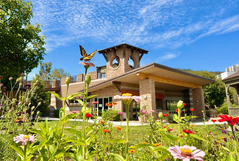 Dr. Grauer's Column - A Giving Economy | Post Details - The Grauer School