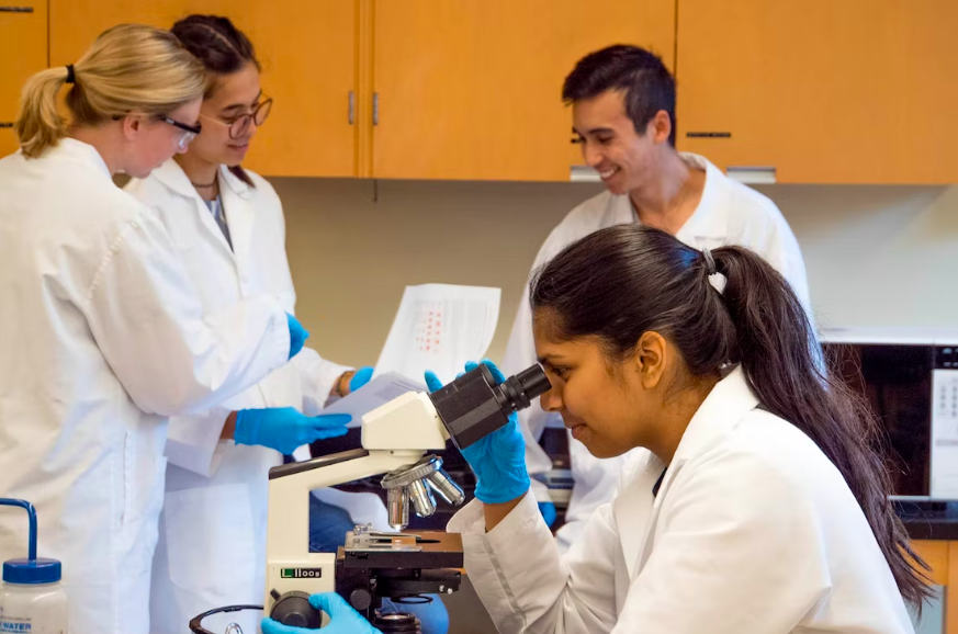 STEM subjects: what are they and why study them? | Our School Blog