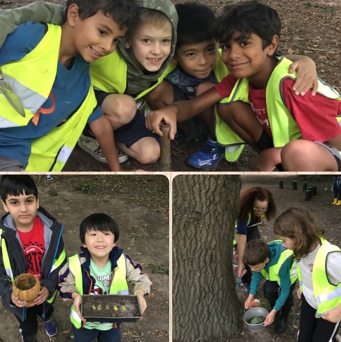 Our first Forest School Project Day | News Post