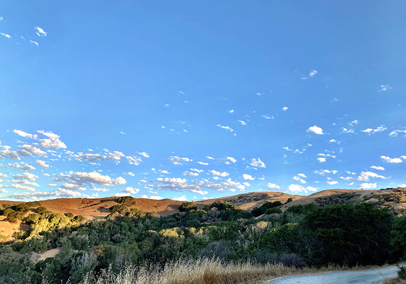 Weekly Reflection September 12, 2022 | SD News and Events