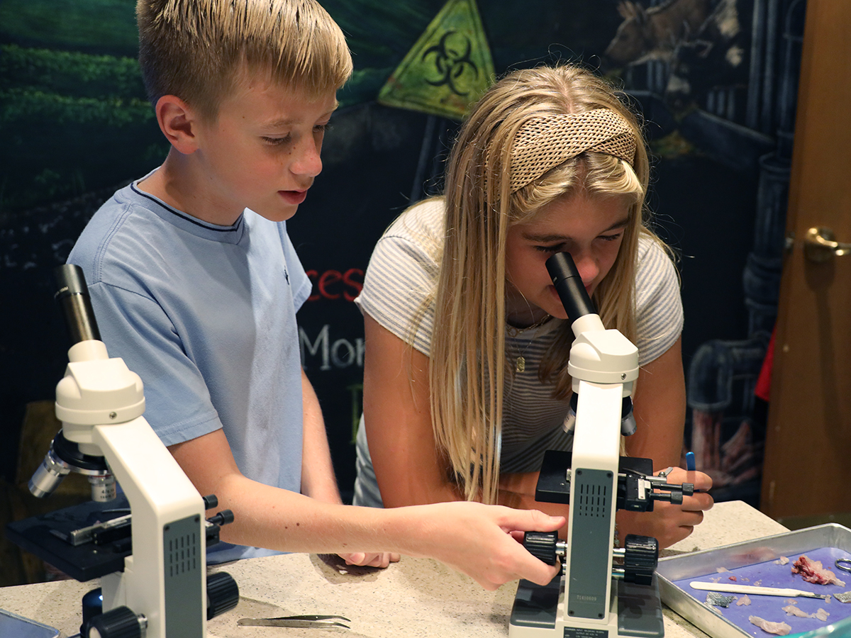 Cell Experiments Grauer in 7th Grade Life Science Class | Post Details ...