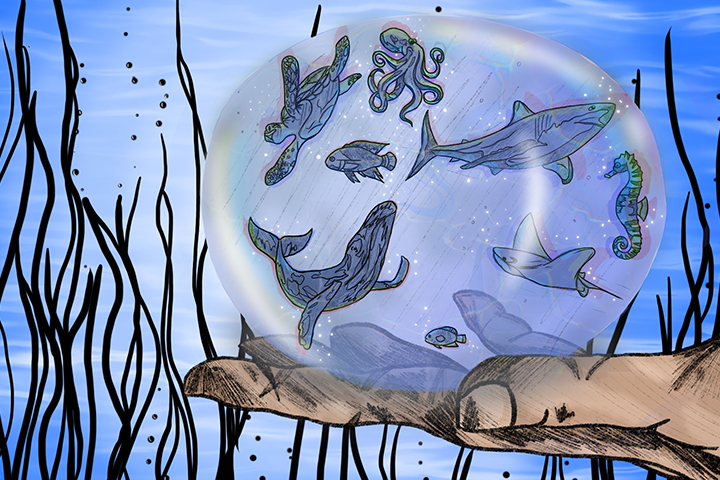 Student Art Contest Winners | Article Details