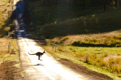 Schooling in remote Australia | Our School Blog