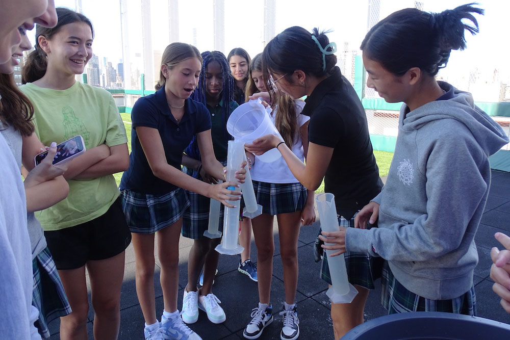 Density Discoveries in Class 8 | Stories Details Page