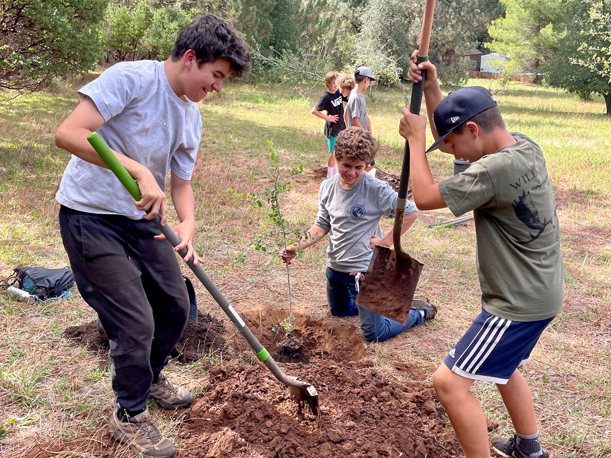 Special Tree Planting Community Service On Julian Expedition | Post ...