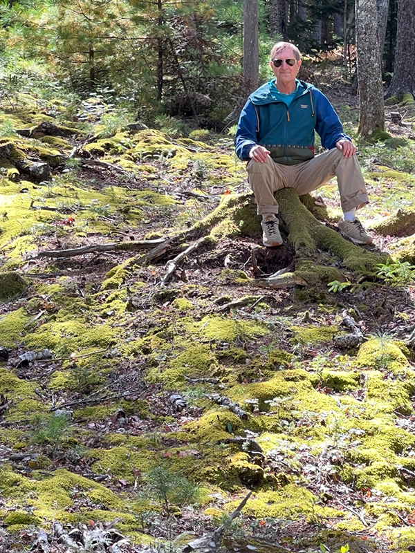 Dr. Grauer's Column - Four Geese | Post Details - The Grauer School