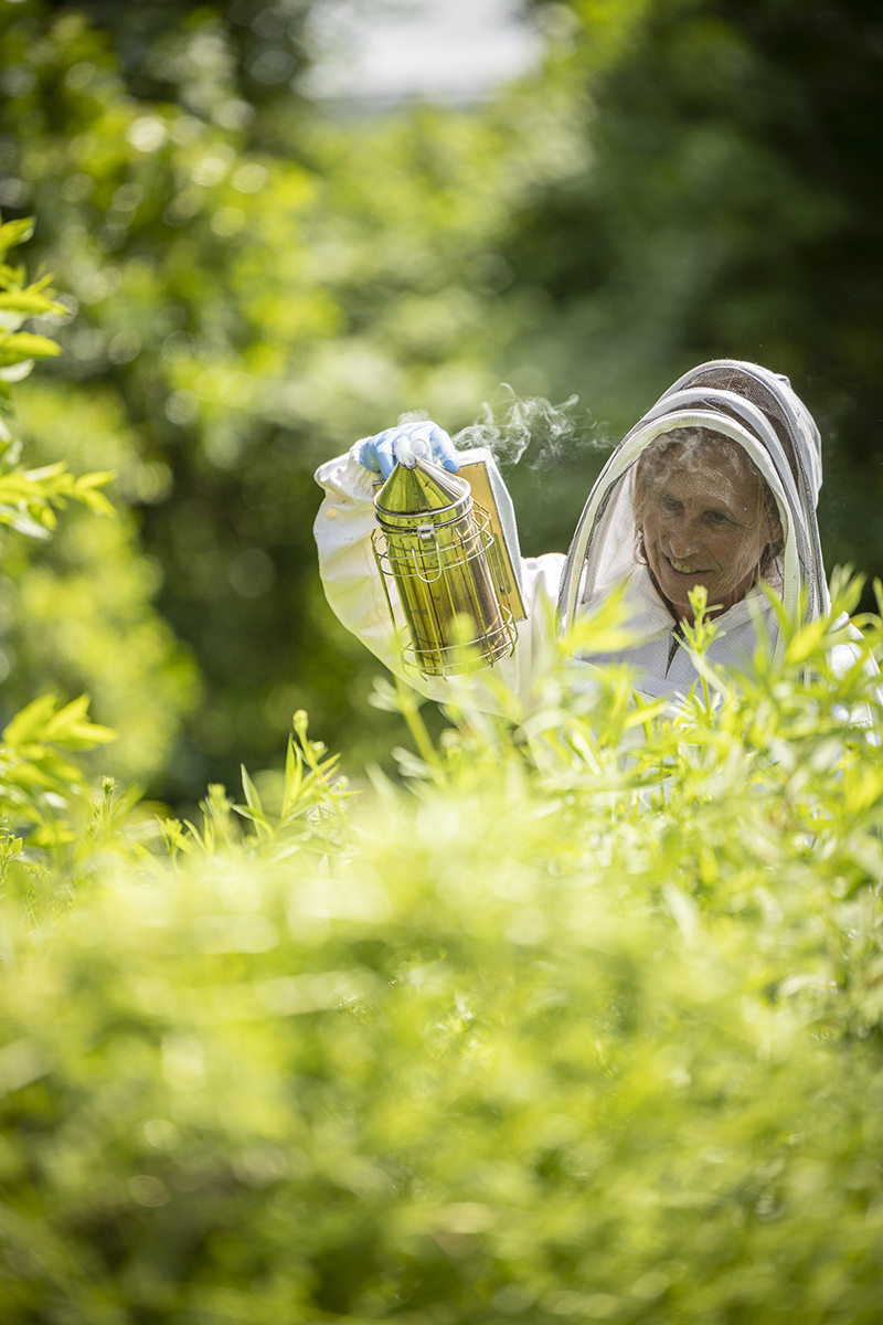 Speaking for the Bees | News Detail Page