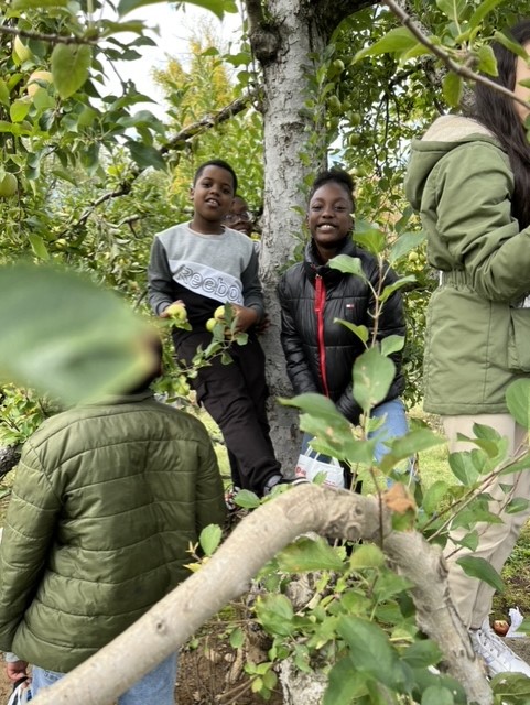 Grimes School goes on an apple-picking trip | News Details