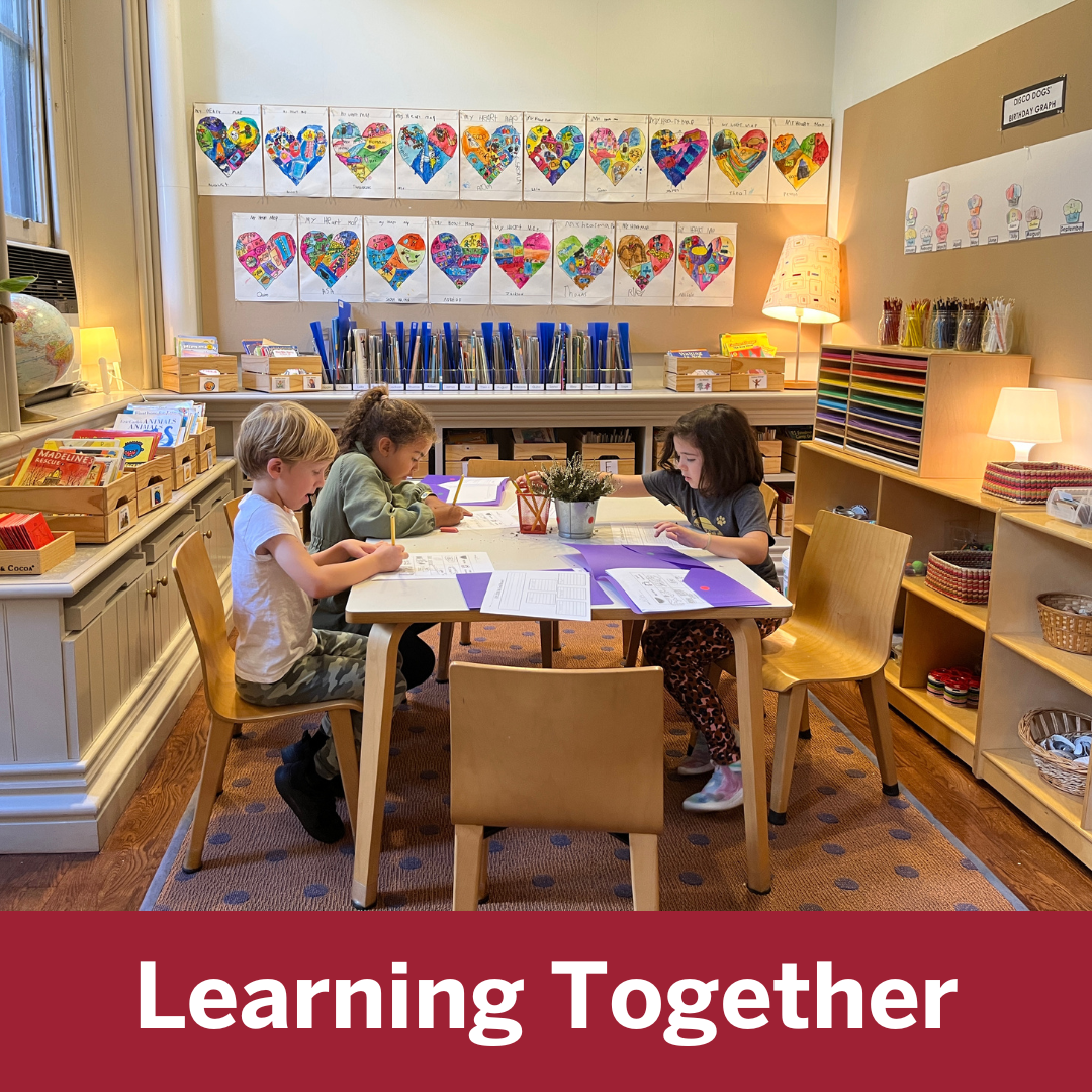 Packer's New Strategic Framework | Story Detail