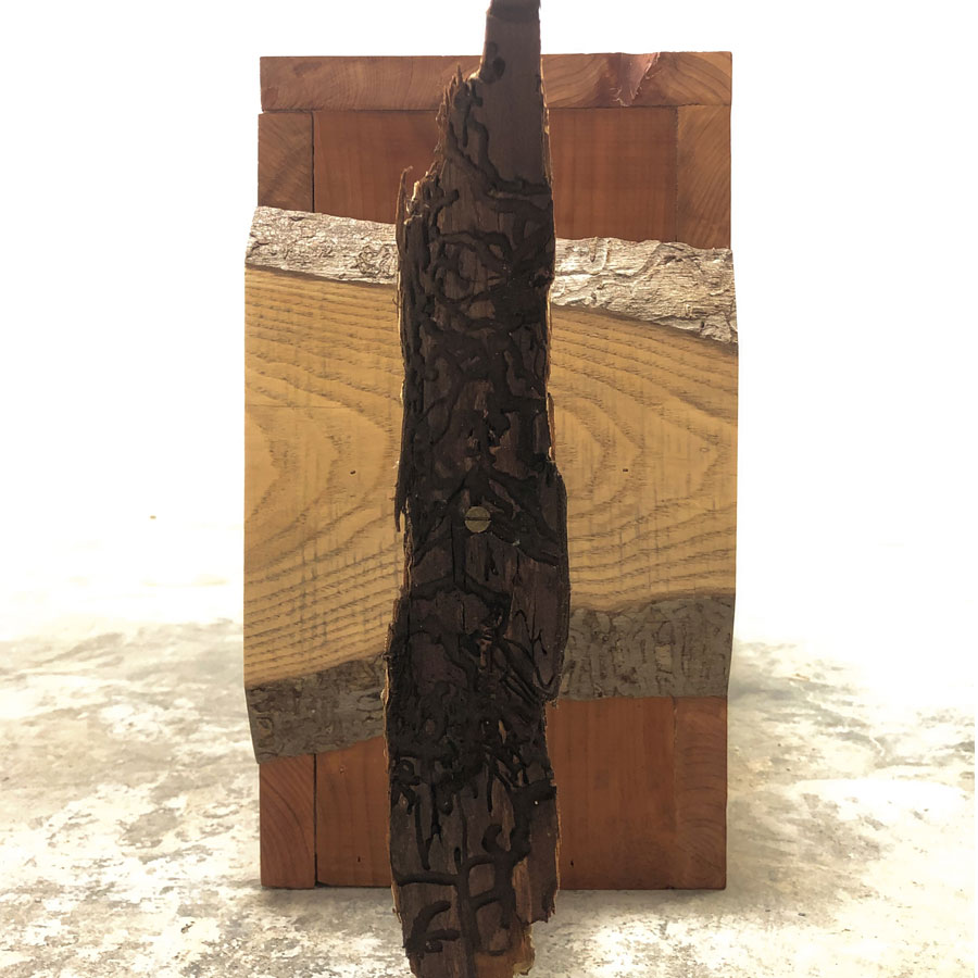 'Ryan Frank: Cross Cut' Opens Nov. 5 in the Tremaine Art Gallery | Art ...