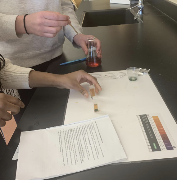 Cellular Respiration in Algae Beds | Endorsement Story