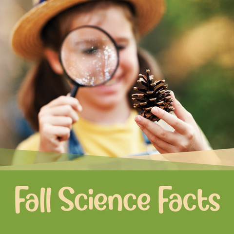Fall Science Facts | Homepage Details - Regional School Unit 21