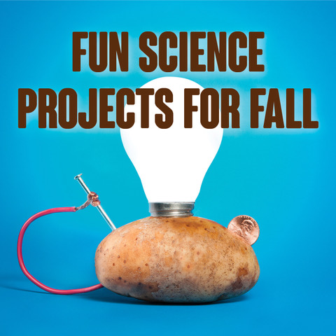 Fun Science Projects for Fall | Homepage Details - Regional School Unit 21