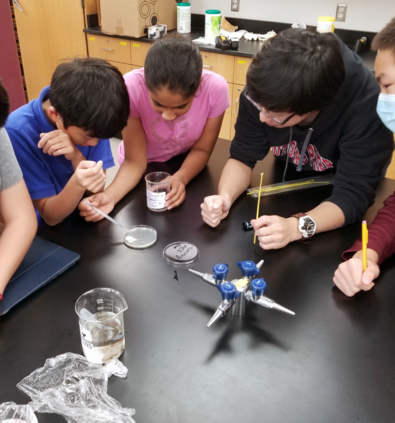 Fifth Graders Team Up With AP Biology Students to Test Water Filters ...